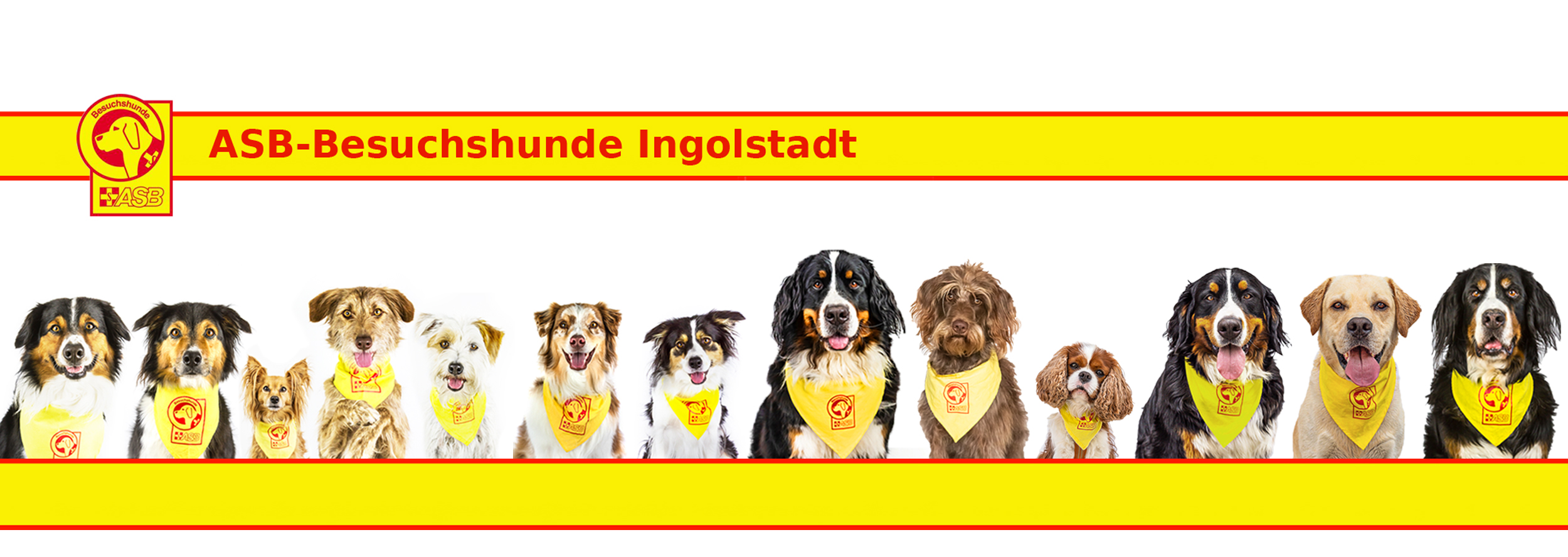 Der ASB-Besuchshundedienst Ingolstadt